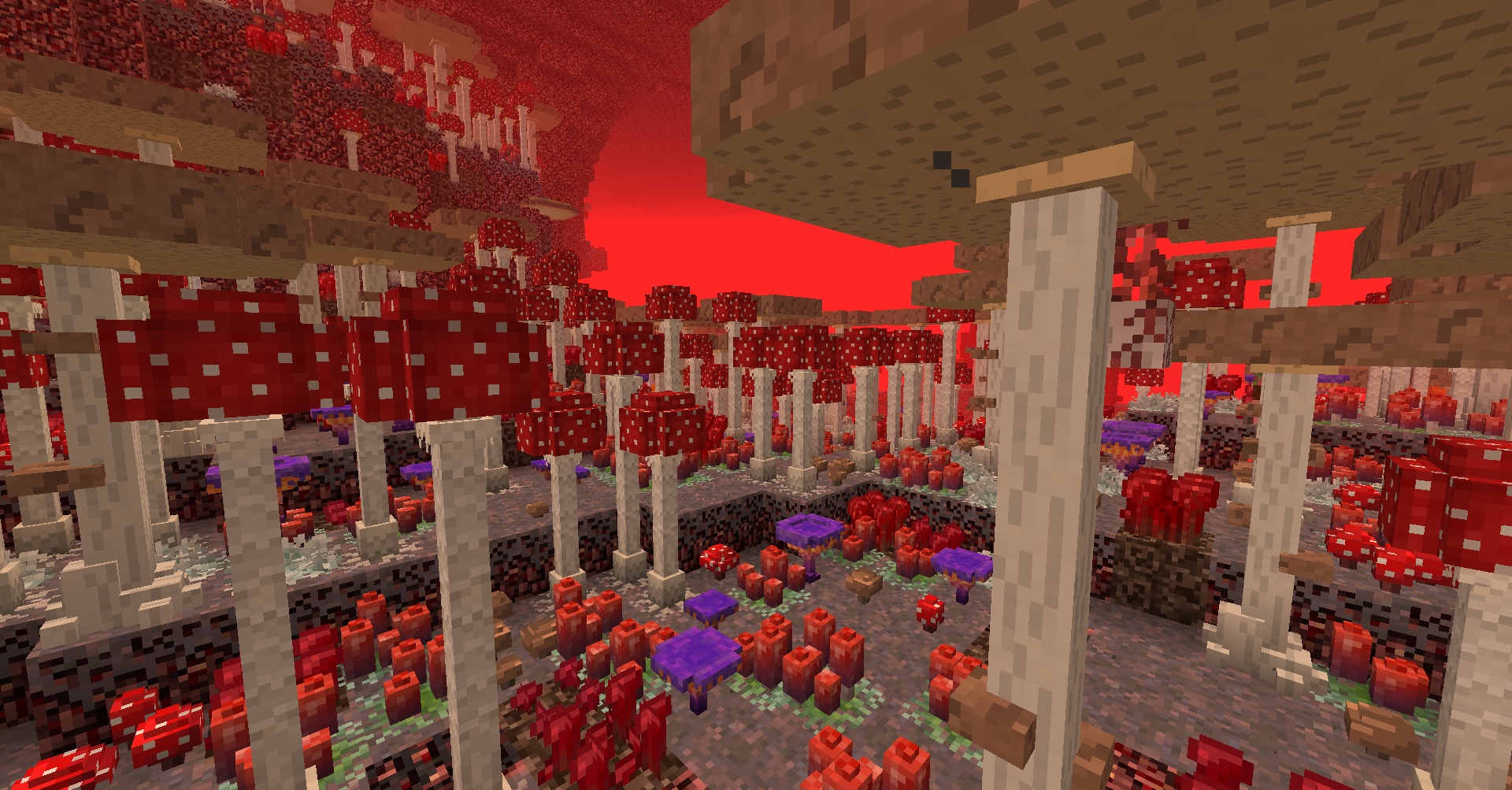 Biomes - paulevsGitch/BetterNether GitHub Wiki